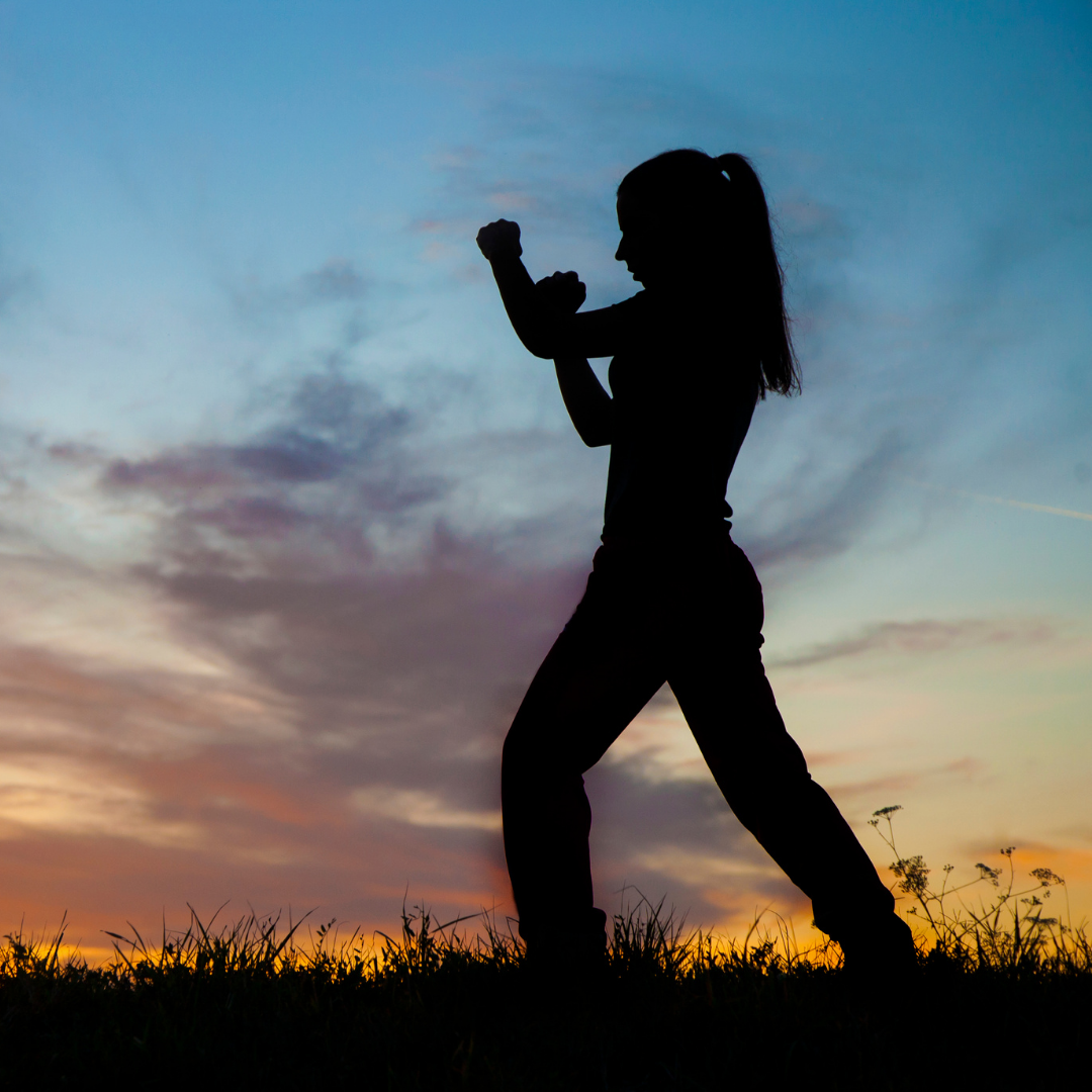 Self-Defense Training Event - Single Steps Strategies